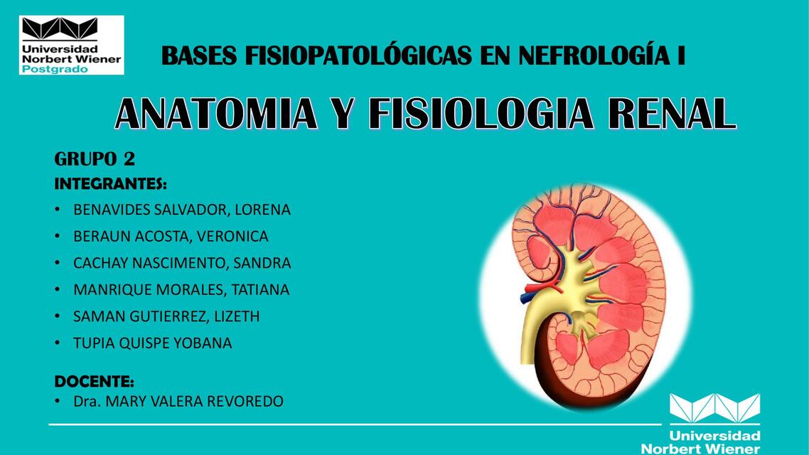 GRUPO 2 EXPOSICION ANATOMIA Y FISIOLOGIA RENAL | Gian Carlos Guerrero ...