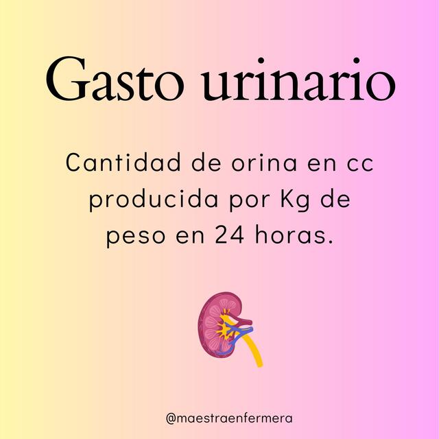 Gasto urinario | Maestraenfermera | uDocz
