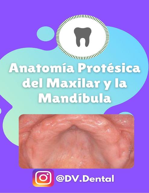 anatomia protesica de la superficie de asiento del maxilar superior y ...