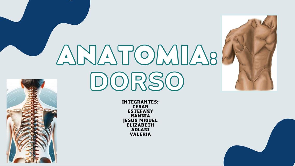 dorso presentación pdf | Melanie | uDocz