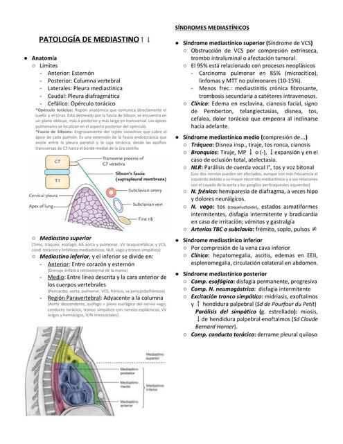 Patología de Mediastino | uDocz
