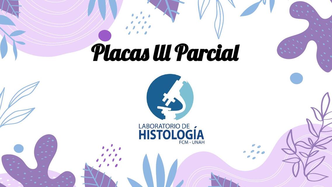 III Parcial Histo | Tony Josué | uDocz