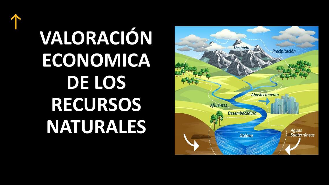 Método de Valoración Contingente | samsstudy | uDocz