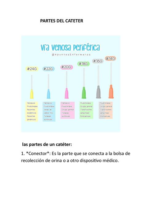 partes del catéter | Aura Ester Peréz Rada | uDocz