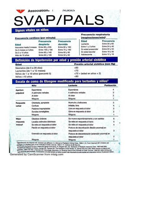 CSV PALS | Luz | uDocz