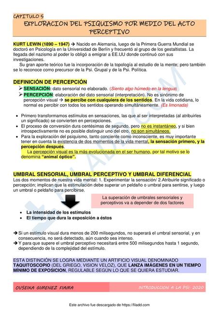 Segundo Parcial UNIDADES 5 6 7 Y 8 | Ccxxc | uDocz