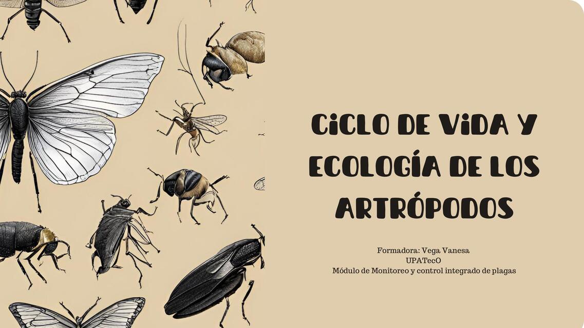 ciclo de vida de los artropodos | Maria Leal Nigro | uDocz