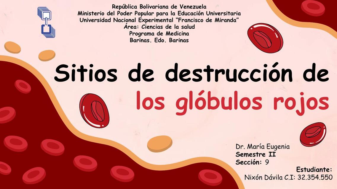 SITIOS DE DESTRUCCIÓN DE LOS GLÓBULOS ROJOS | Gia | uDocz