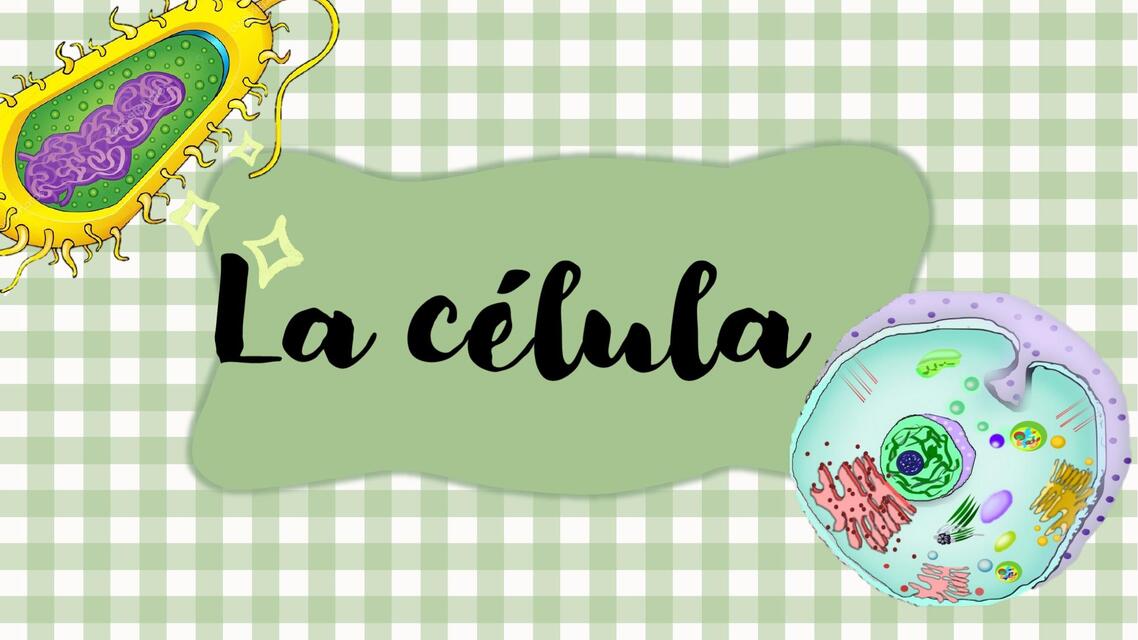 celulas | Eddy Quette | uDocz