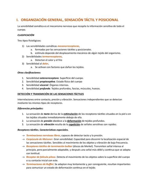 13 SENSIBILIDADES SOMÁTICAS I | María del Carmen León Téllez | uDocz