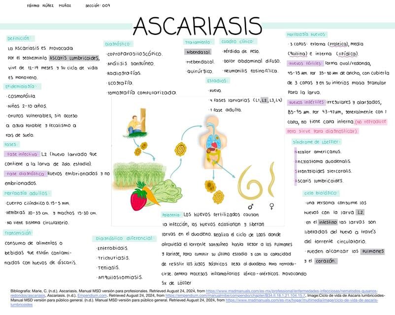 Ascariasis | Fátima Núñez | uDocz