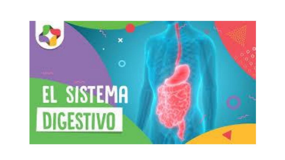 SISTEMA DIGESTIVO | Monica Daz | uDocz