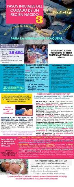 TEMA 3 ReNeo PASOS INICIALES | Lizet Marañon Mendoza | uDocz