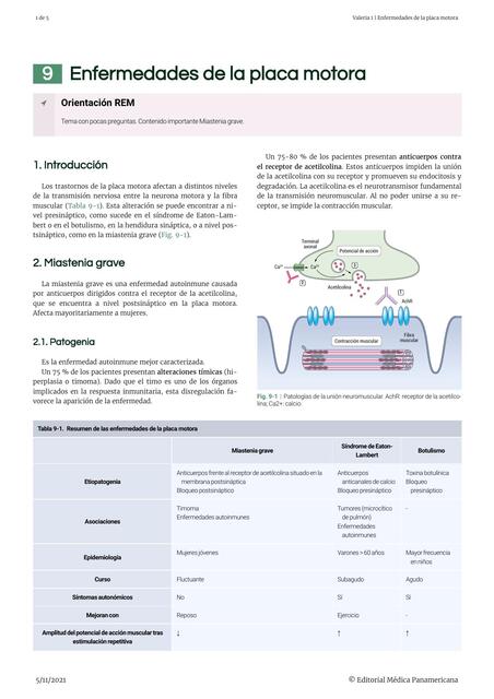 ENFERMEDADES DE LA PLACA MOTORA | ValeES25 | uDocz