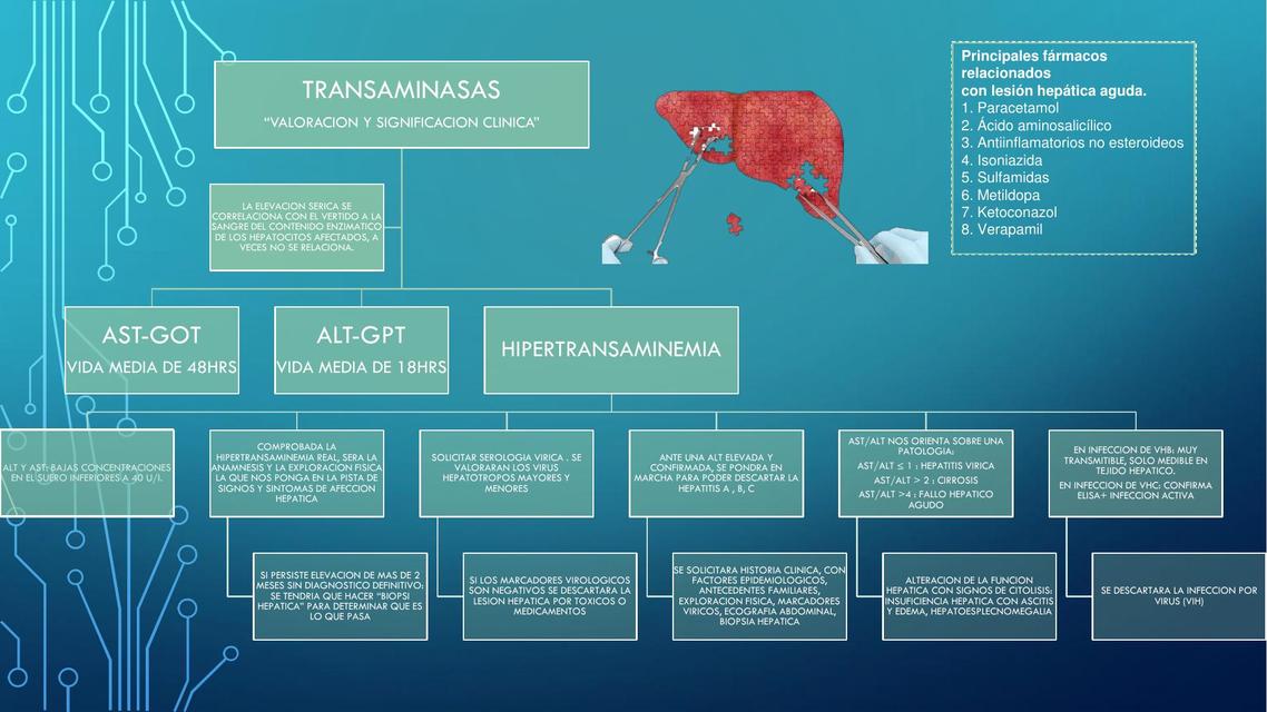 TRANSAMINASAS | Enzima | Salud | uDocz