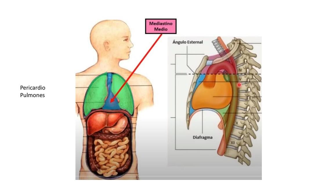 CORAZON | Rodrigo09 | uDocz