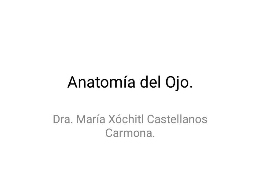 Anatomía del Ojo Mejorada | Patricia Estrella | uDocz