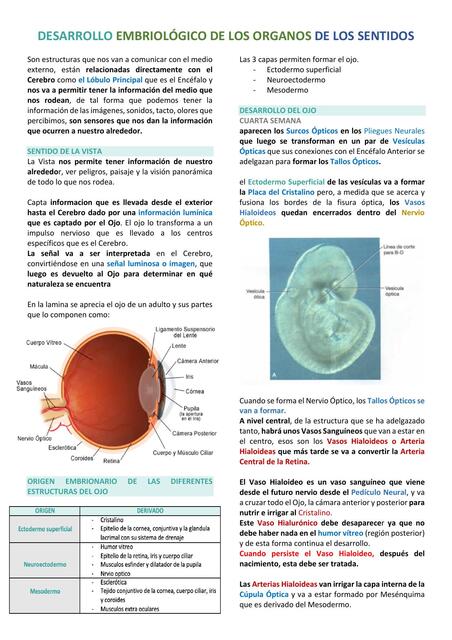 HISTO- RESUMENES | uDocz