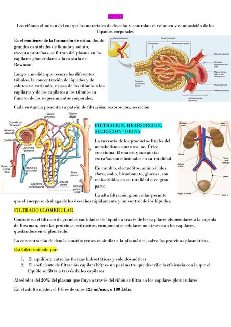 SOL | Ignacio | uDocz