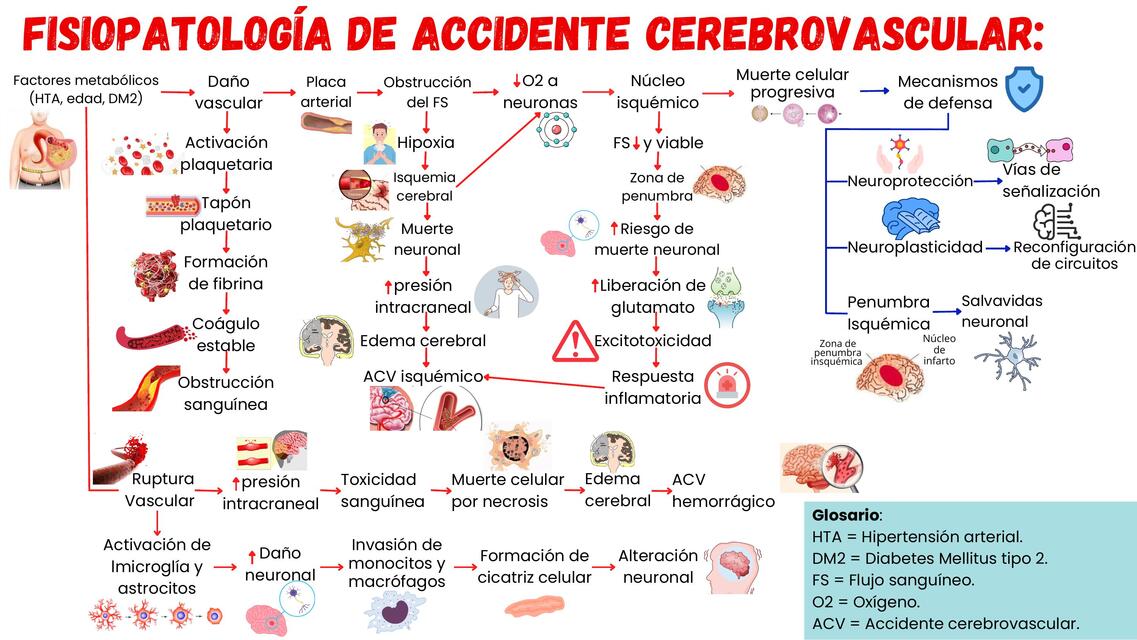 Fisiopatología de Accidente Crebrovascular | WILSON ELIAS LOPEZ VARGAS | uDocz