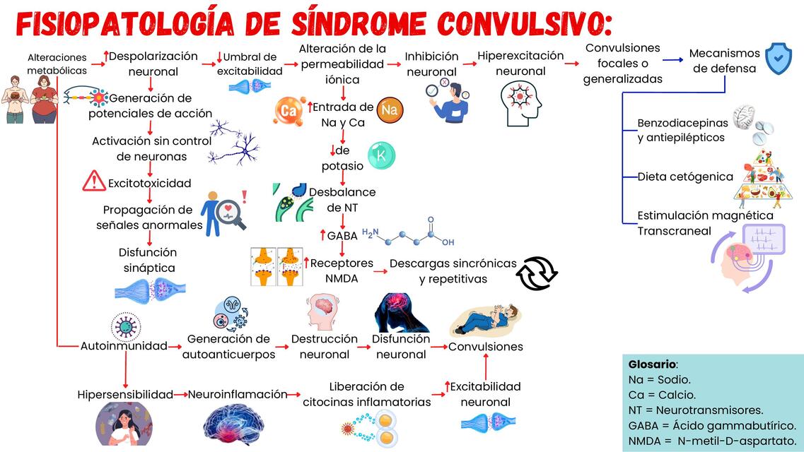 Fisiopatología de Síndrome convulsivo | WILSON ELIAS LOPEZ VARGAS | uDocz