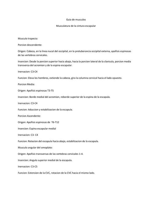 Guia de musculo WPS Office | emibel garcia | uDocz