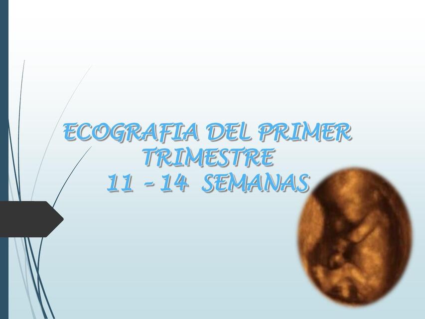 11 14 SEMANAS 1 | Paola CF | uDocz