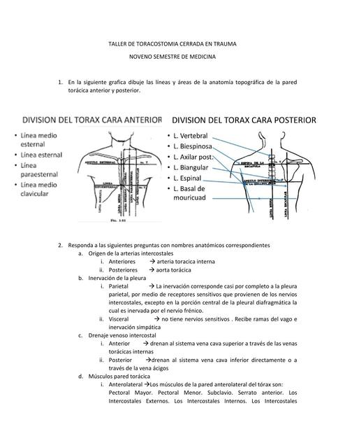 Flashcards de Taller Toracostomia | Por Meditipsw | uDocz