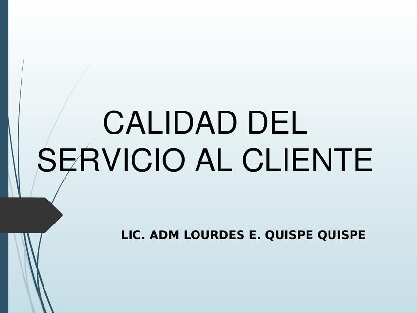 Calidad del Servicio al Cliente | Anon | uDocz