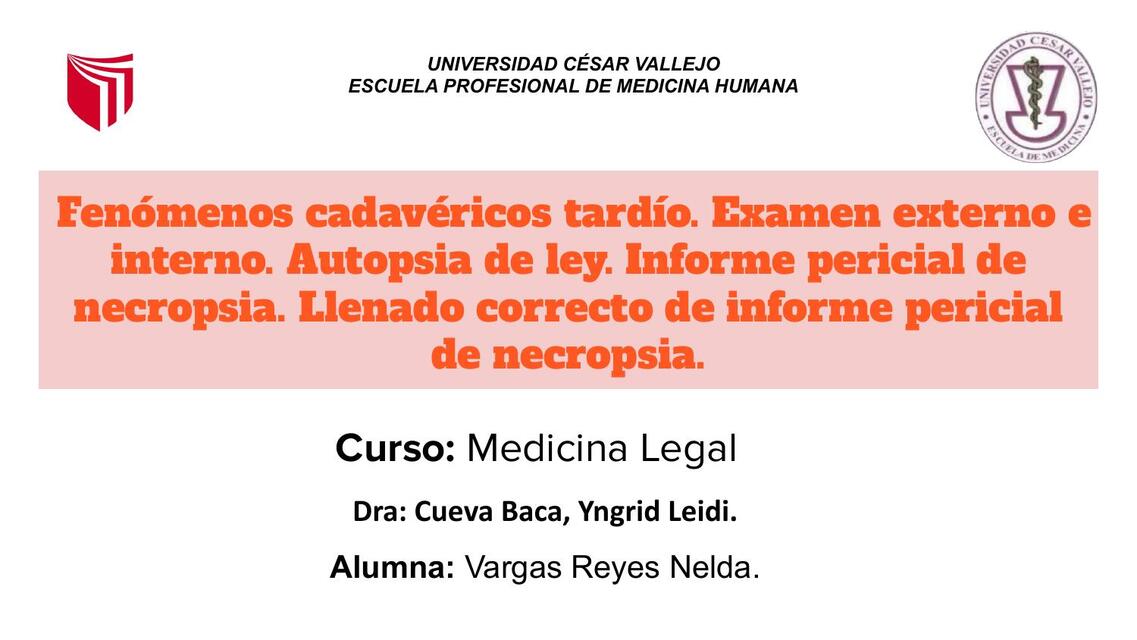 SEM 12 | Nelda Mary Vargas Reyes | uDocz
