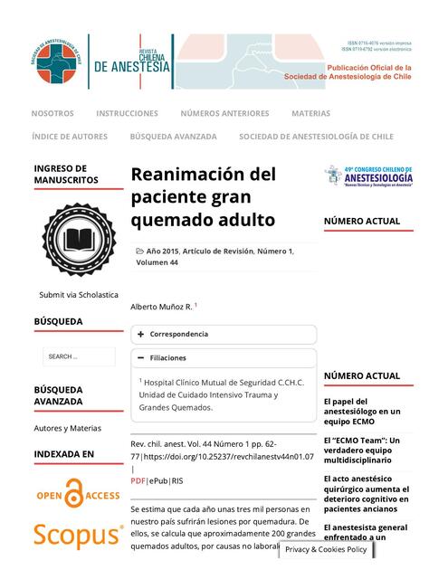 Reanimación del Paciente Gran Quemado Adulto | Richard Perez | uDocz