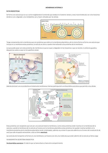 MEMBRANAS INTERNAS II | Angie Leonela | uDocz