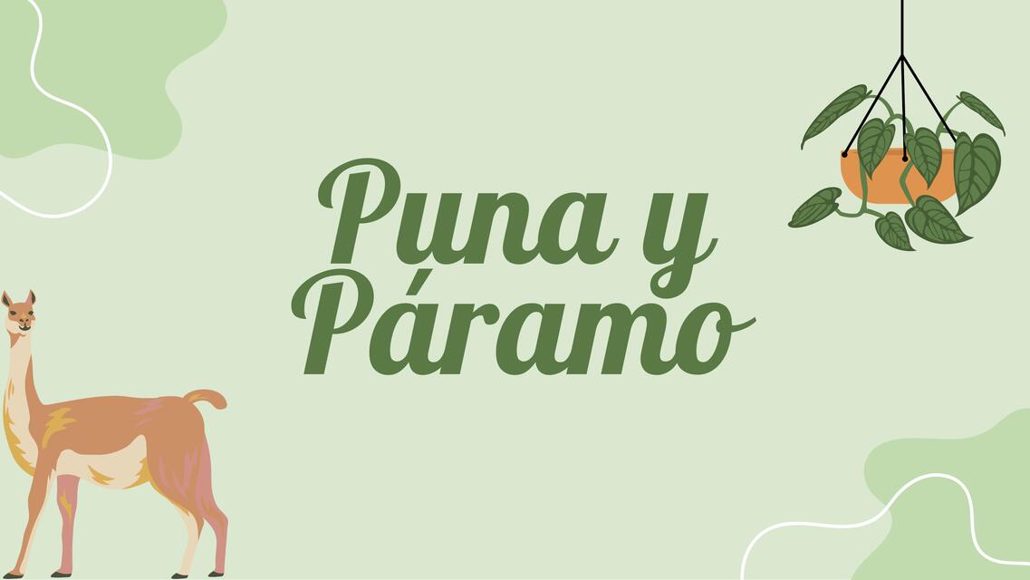 Puna Y Páramo: Flora, Fauna y Étnias | Dulce Cueva | uDocz