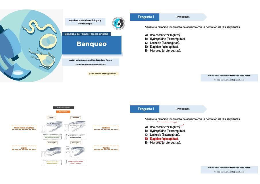 EXÁMENES MYP | XIOMARA RIVERA RAMOS | uDocz