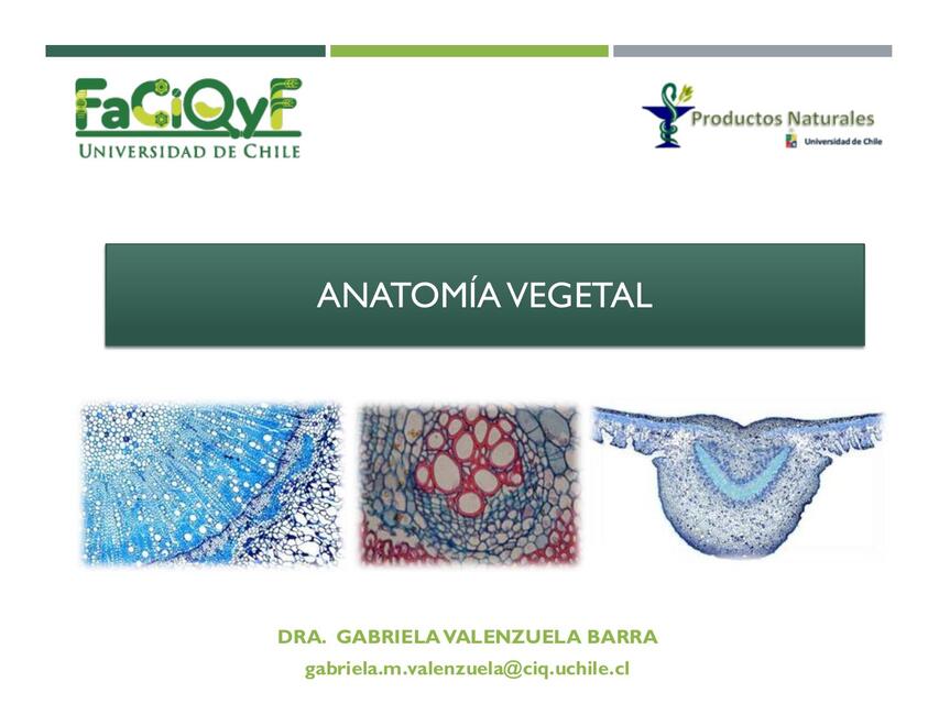 Fisiología y Bioquímica Vegetal | uDocz