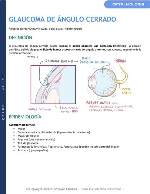 5 Glaucoma de Ángulo Cerrado | MEDICSTORE | uDocz