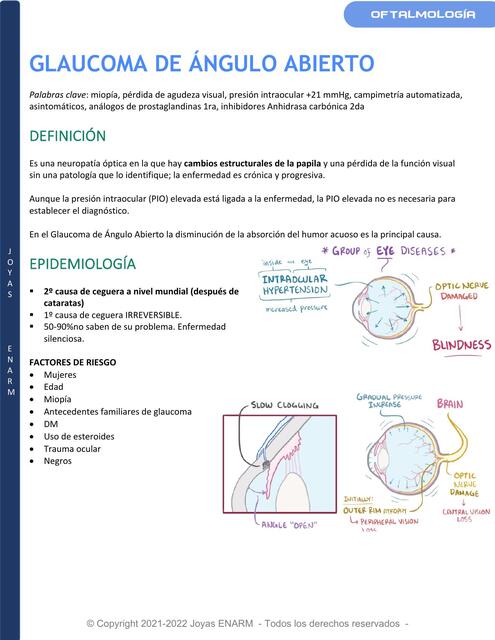 4 Glaucoma de Ángulo Abierto | MEDICSTORE | uDocz