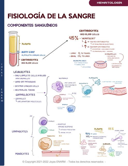 0 Fisiología de la Sangre | MEDICSTORE | uDocz