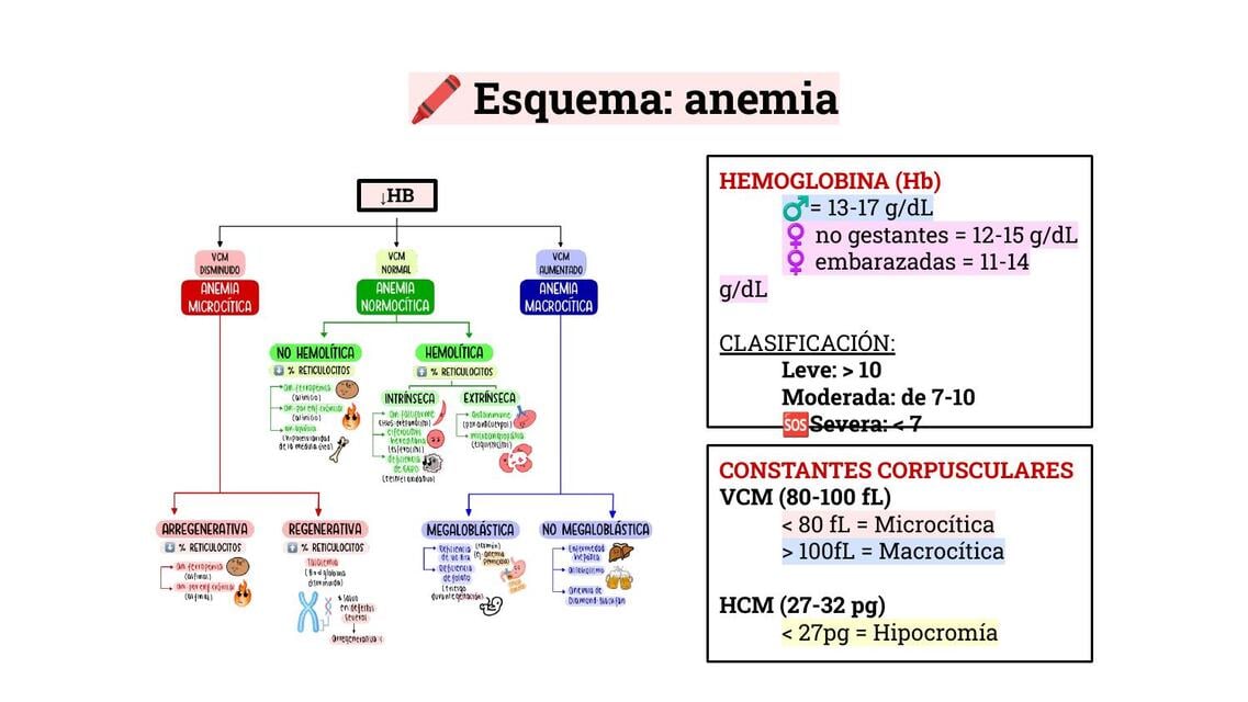 Algoritmo diagnóstico de ANEMIA | Ximena | uDocz