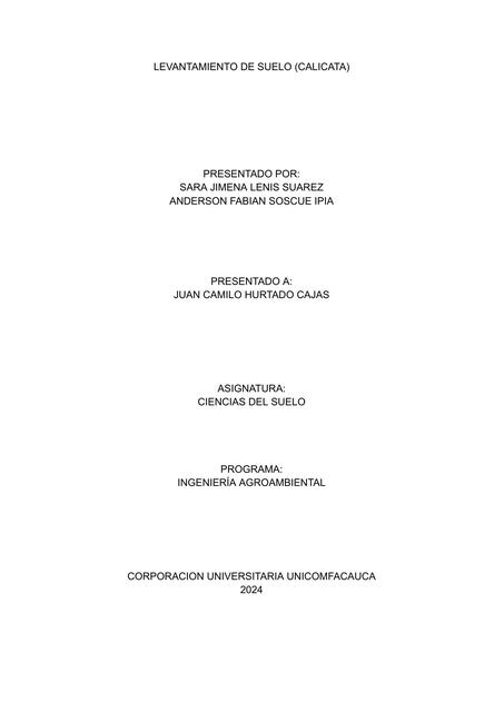 LEVANTAMIENTO DE SUELO CALICATA | La | uDocz