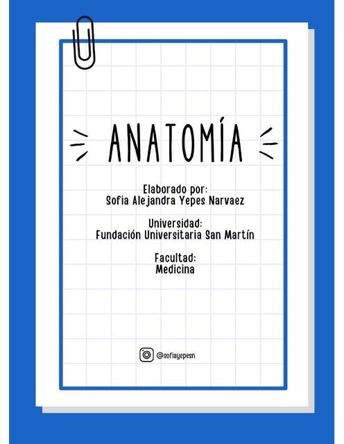 Anatomía cardíaca, arterial y venosa | Sofia Yepes | uDocz