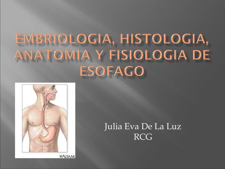 embriologia histologia anatomia y fisiologia del Esofago | Ahmed Casana ...