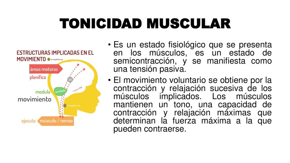 TONICIDAD MUSCULAR intro | Rossy | uDocz
