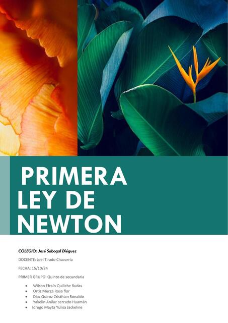 PRIMERA LEY DE NEWTON 5 | Wilson Efrain Quiliche Rudas | uDocz