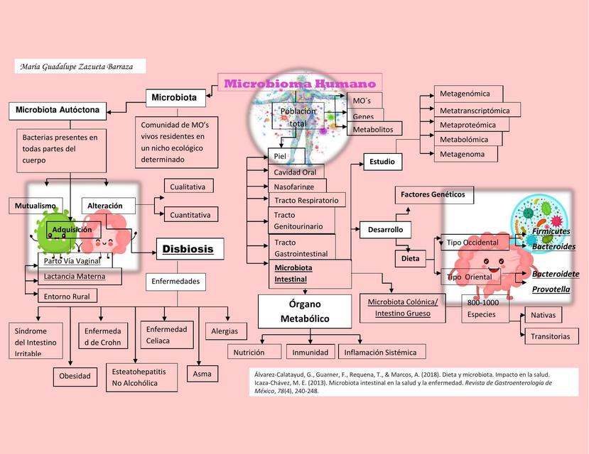 Microbioma Humano | María Zazueta | uDocz