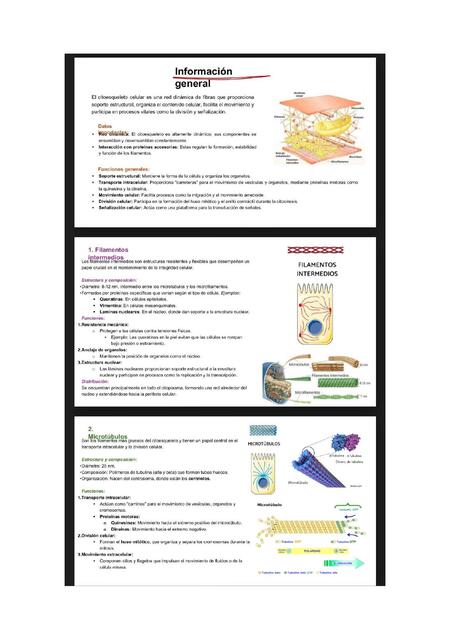 DOC WA | Kiara | uDocz