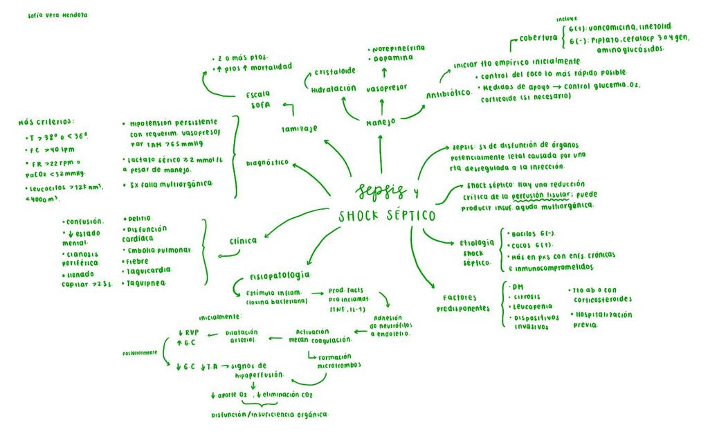 Sepsis y shock séptico: mapa conceptual resumido | Sofía Vera Mendoza | uDocz