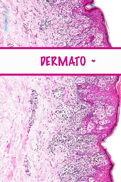 Dermato | DermatoJOV | uDocz