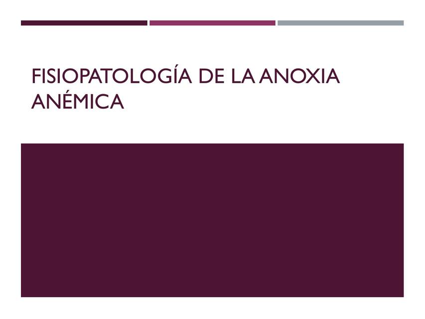 Fisiopatologia Anoxia Anemica | MONICA | uDocz