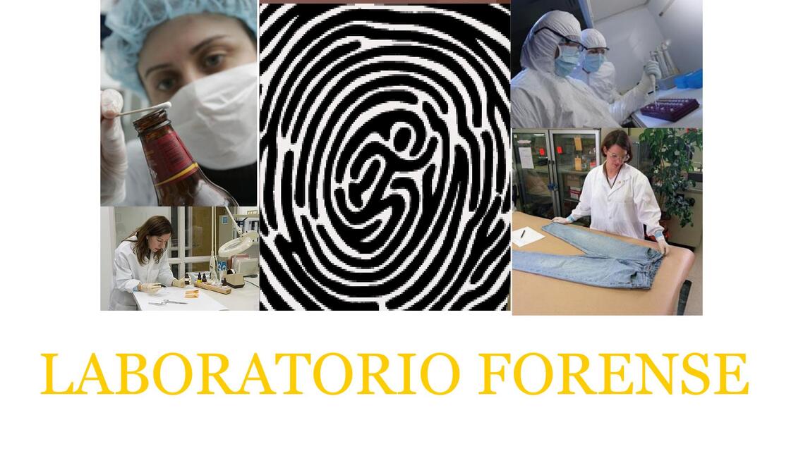 SESION 01 LABORATORIO FORENSE | Eliane | uDocz